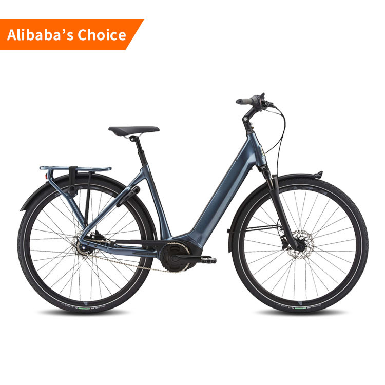 25km/H Long Range Electric City Road Bike 750w High Power Two Wheel